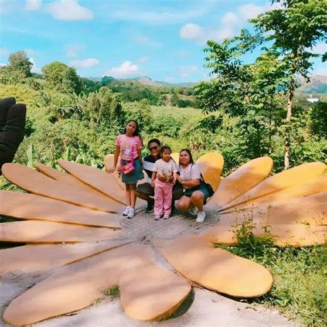 Deped 𝗖𝗘𝗥𝗧𝗜𝗙𝗜𝗖𝗔𝗧𝗘 𝗢𝗙 𝗨𝗡𝗗𝗘𝗥𝗧𝗔𝗞𝗜𝗡𝗚 𝗢𝗳𝗳𝗶𝗰𝗶𝗮𝗹 𝗧𝗲𝗺𝗽𝗹𝗮𝘁𝗲 If The Teacher Chooses To Perform The