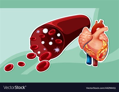 Thumbnail Design With Blood Hemoglobin Royalty Free Vector
