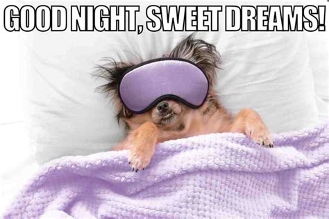 70 Cute And Funny Good Night Images Memes Jokes And Messages For The