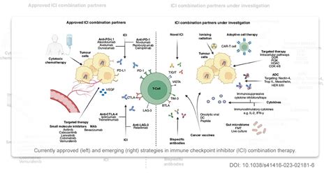 Acrobiosystems On Linkedin Acrohighlights