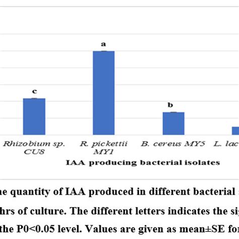 Isolation Characterization And Phylogenetic Analysis Of Nodule