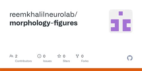 GitHub Reemkhalilneurolab Morphology Figures