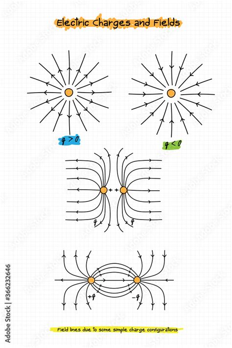 Electric Charges Field Physics Vectorelectric Field Of A Positive