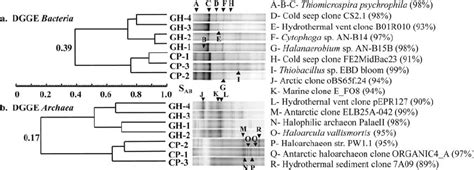 Cluster Analysis Of Dgge Banding Patterns Based On Position Of Bands
