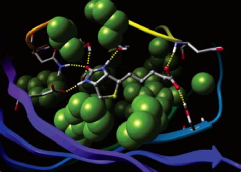 Improving Protein Ligand Modeling Into Cryo Em Data And The Use Of Those Models In Drug