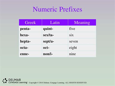 Unit 10 Surgery Diabetes Immunology Lesions And Prefixes Of Numbers And Direction Ppt Unit 10 Surgery Diabetes Immunology Lesions And Prefixes Of Numbers And Direction Ppt