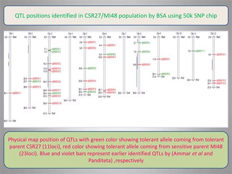 Qtl Mapping And Analysis Pptx Genetics Science