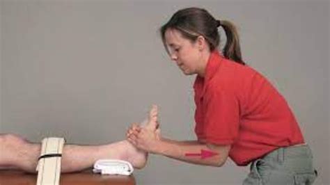 Distal Tibiofibular Joint Mobilization