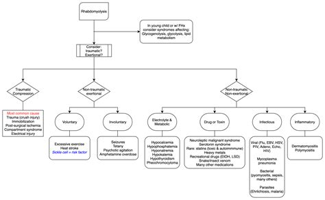 A Rhabdomyolysis Framework Inspiredadapted From An Grepmed