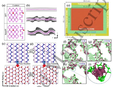 A Oxygen Adsorption On Black Phosphorene Optimised By Dft And Reaxff