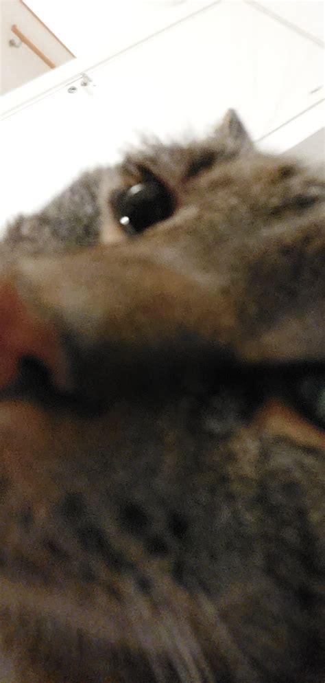 [day 363 Of Milo] The Train Traffic Today Was Awful I Was Going To Take A Train Departing At 9