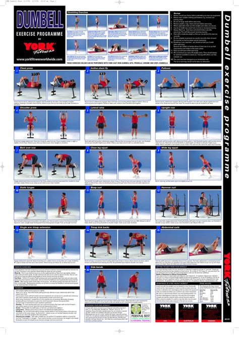 Dumbbellexercisechartpdf Dumbbell Workout Routine Bowflex Workout