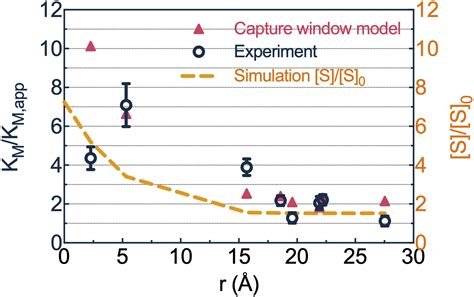 Multiscale Simulation Guided Design Of Enzyme Bioconjugates With