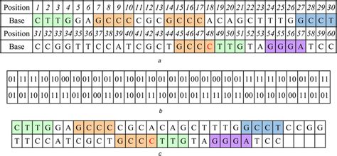 A Simple Example Illustrating DNA Sequence Representation A Short Download Scientific Diagram