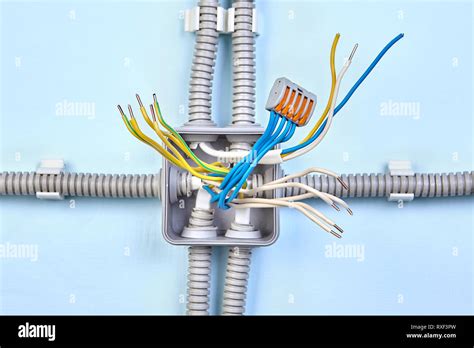 Copper Wiring Of Household Power Grid On Electrical Conduit With Push Wire Connector Close Up