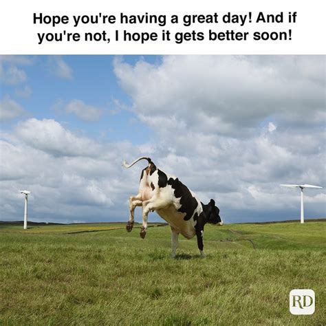Hope Youre Having A Great Day Meme Funny Memes Valdivia Yousigulas