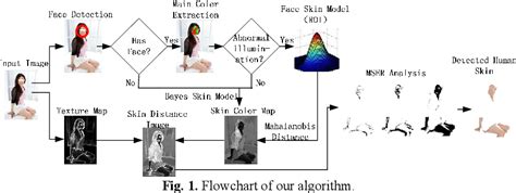 Figure 1 From Human Skin Detection In Images By Mser Analysis Semantic Scholar