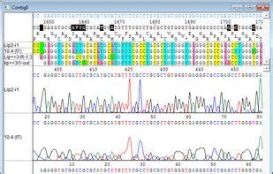 SnapGene Viewer Alternatives And Similar Software AlternativeTo