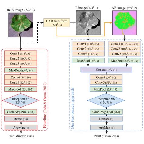 2 Graphical Representation Of The Two Branch Cnn Architecture Download Scientific Diagram