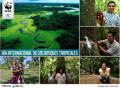 Recursos Para La Educación Ambiental Día Mundial De La Eficiencia