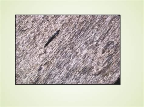 Lineation And Linear Structural Pdf Geology Science