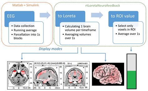 Source Based Eeg Neurofeedback For Sustained Motor Imagery Of A Single Leg
