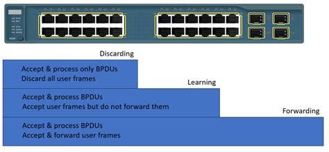 Rstp Port States And Types Explained