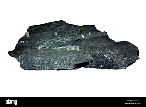 Shale Rock