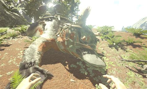 Really Pretty Maewing R Ark