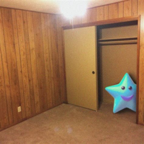 Tetherball America Parapop