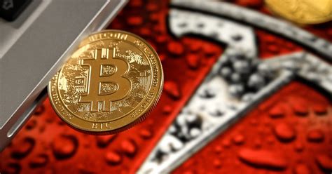 Los Argentinos Y Las Nuevas Tecnologías Económicas Twitch Y Whatsapp