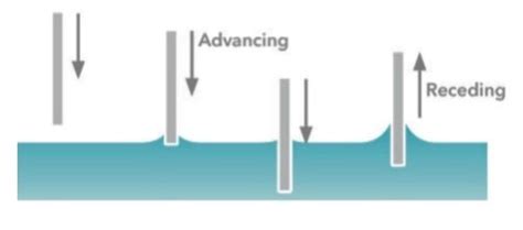 Surfactants Surface Active Agents Flashcards Quizlet