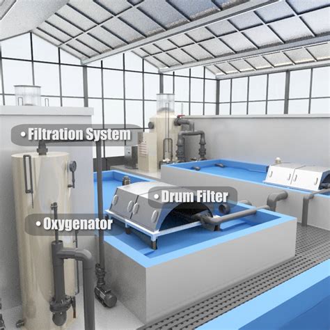 180m3 Intensive Recirculating Aquaculture System For Salmon Fish Farms