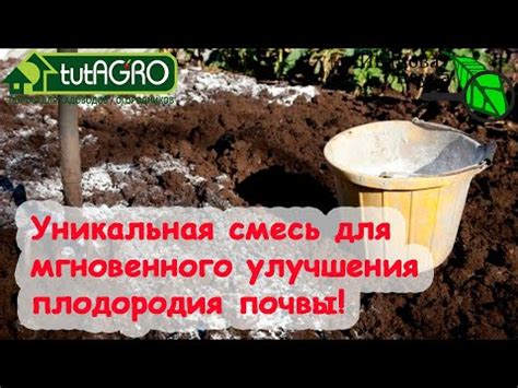 СМАРТ-СМЕСЬ ДЛЯ МГНОВЕННОГО УЛУЧШЕНИЯ ПЛОДОРОДИЯ ПОЧВЫ. Даже песок и ...
