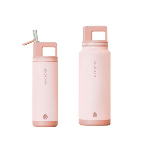Pack Of 2 Grosche Alpine Flip N Sip Insulated Water Bottle Leakproof