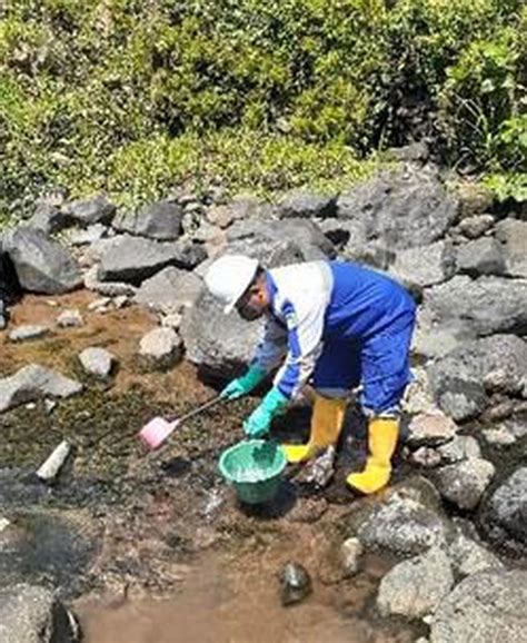 JASA PETUGAS DAN PEMERIKSAAN LABORATORIUM AIR SUNGAI AIR BADAN AIR AIR PERMUKAAN