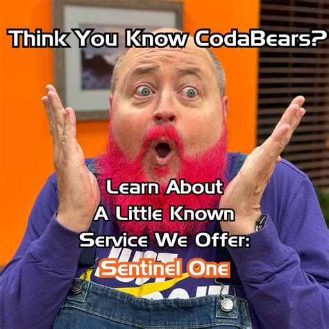 Codabears Sentinelone Cybersecurityexperts Softwaredevelopment Codabears Inc