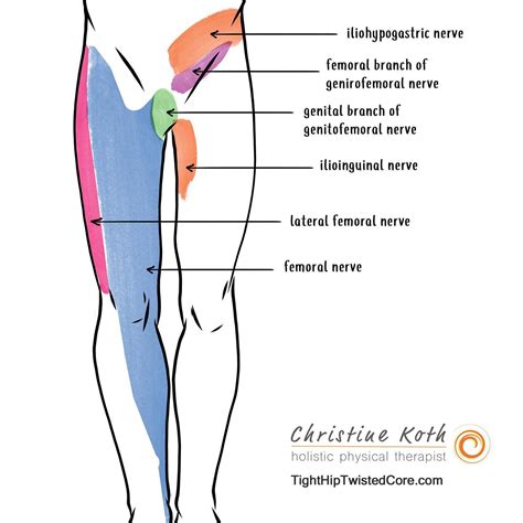 Psoas Pain Referral Pattern