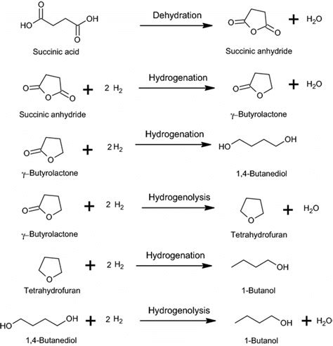 Succinic Acid Lewis Structure