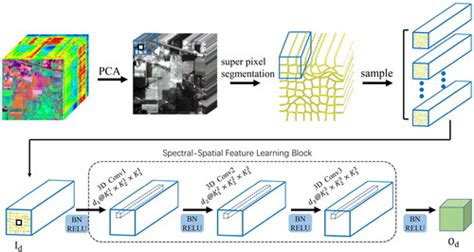 full article a dual branch multi feature deep fusion network framework