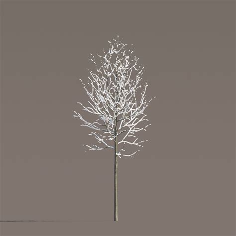 Seasonal Trees Archmodels Vol 258 Evermotion