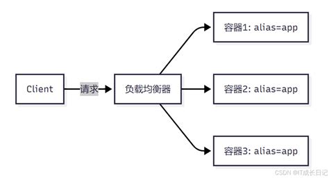 【docker基础】docker容器间通信：dns解析与别名机制详解 docker dns csdn博客