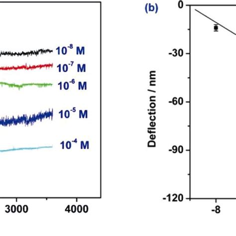 Schematic Diagram Of Bending Of A Microcantilever Functionalized With A Download Scientific