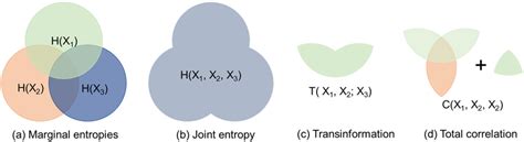 Venn Diagrams For Bivariate And Multivariate Entropy Alfonso