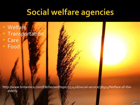 Role Of Government And Welfare Agencies Ppt
