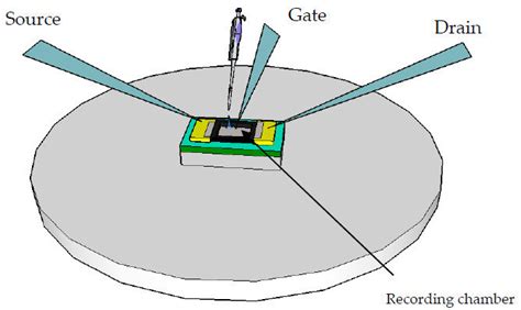 The Schematic Figure For The Probe Station With Its Three Needles Download Scientific Diagram