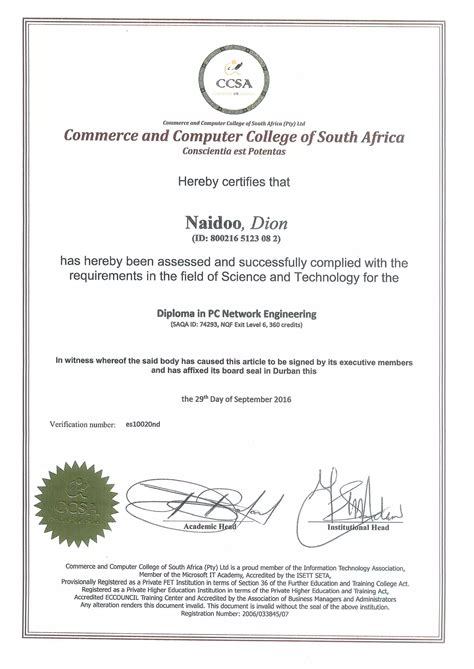 Dion Naidoo C V Pdf It And Internet Support Internet