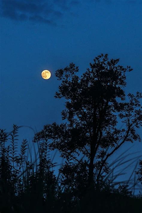 十五的月亮图片请你全力以赴的开心！图片素材 花瓣网