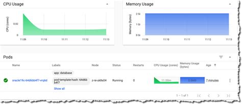 Running Oracle 19c On Kubernetes Ron Ekins Oracle Technology