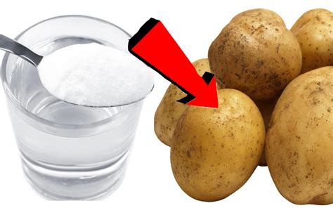 Как избавиться от колорадского жука За 0003 секунды смотреть видео онлайн от «ПОЛЕЗНЫЕ